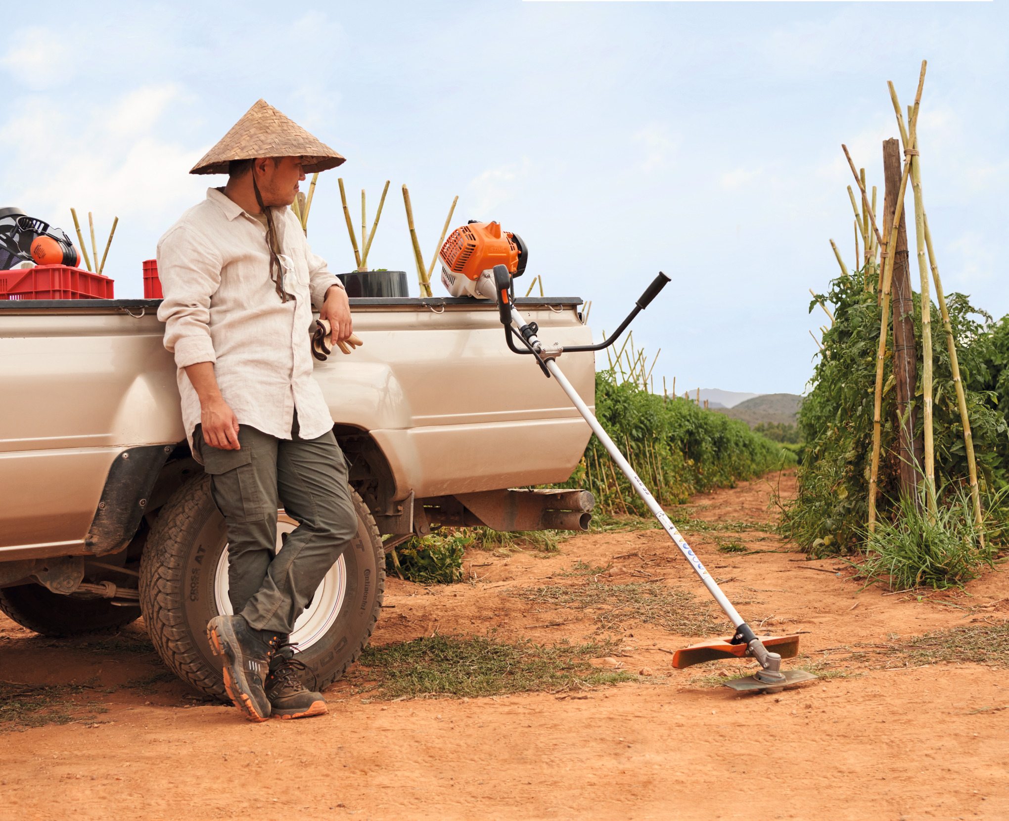 Motoguadaña FS 230 - Potente y económica - STIHL | STIHL